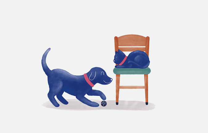 Portfolio of Work - Oliver Morrison